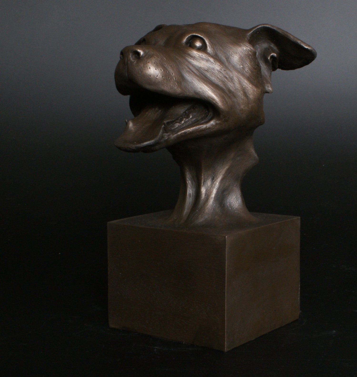 Cold Cast Bronze "Staffy Smile" – Carl Reid Sculptures